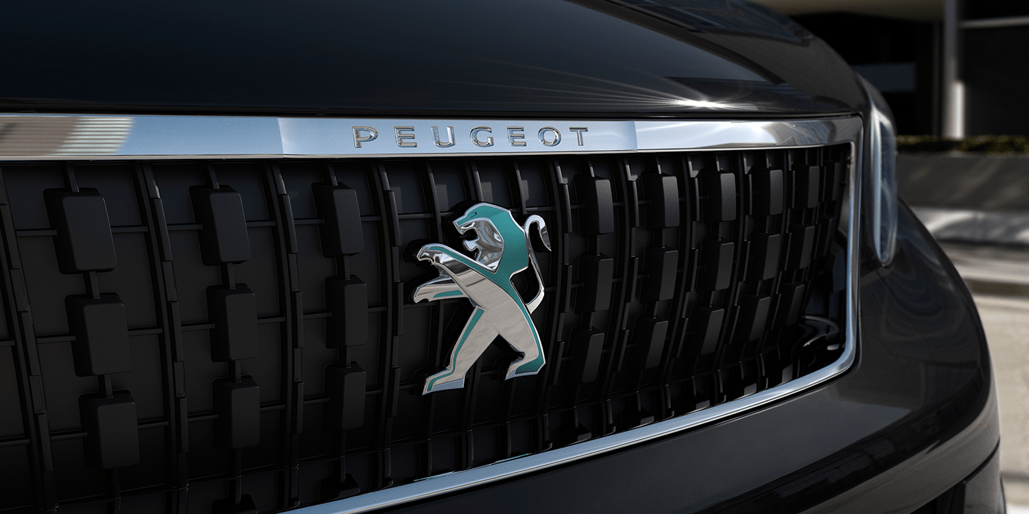 Peugeot 1008 electric store