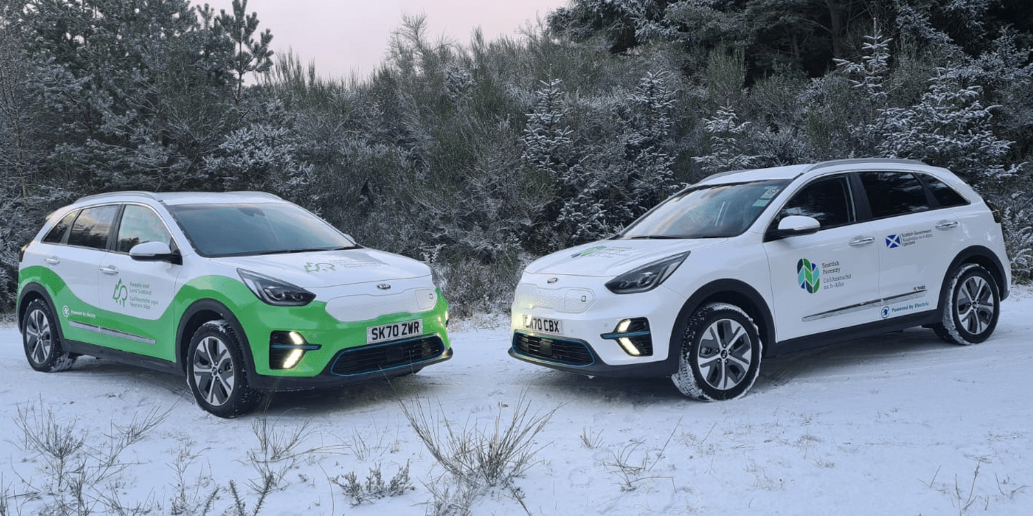 Scotland's forestry agencies just became greener - electrive.com