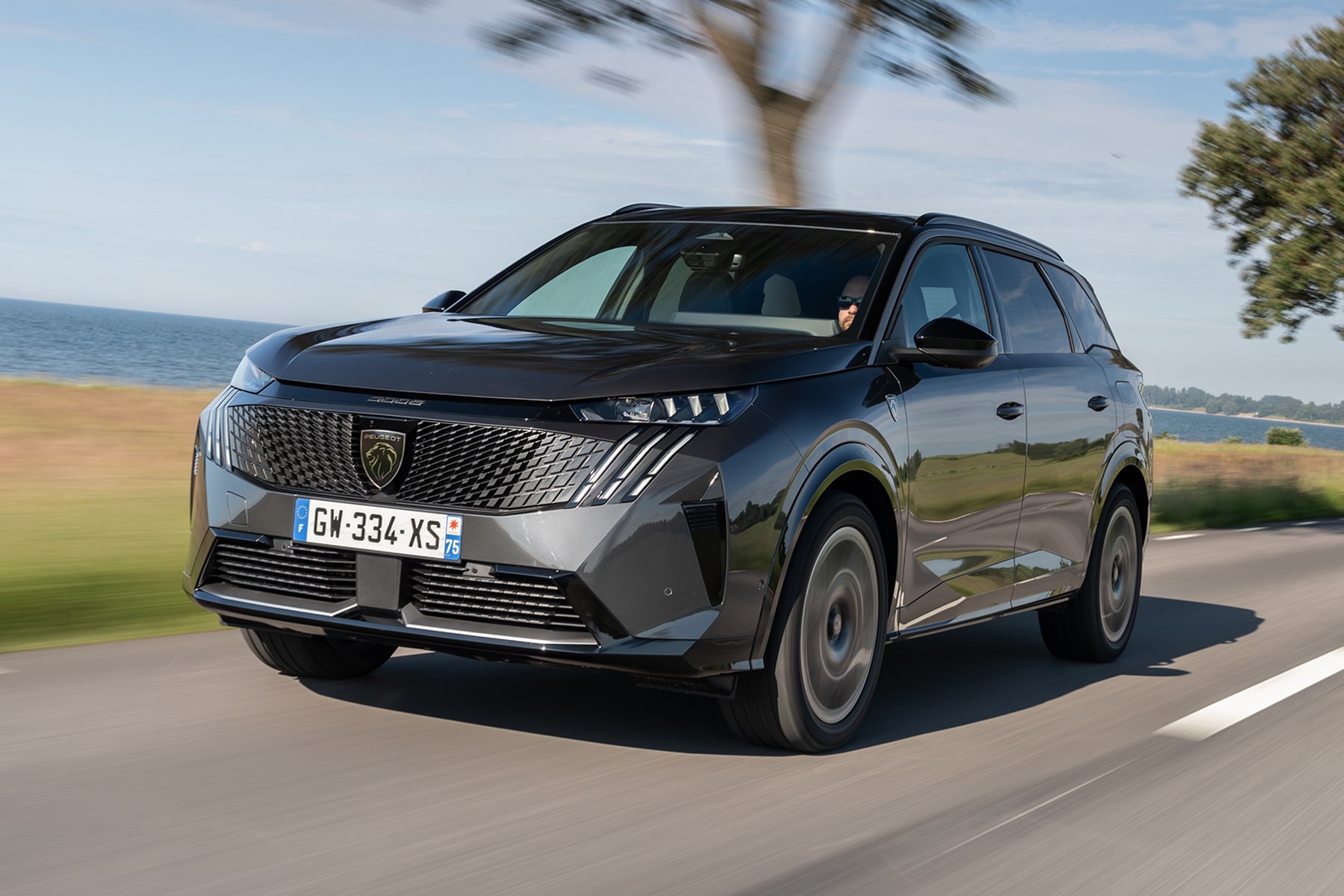 France looks to push for EU-wide electric car subsidies - electrive.com